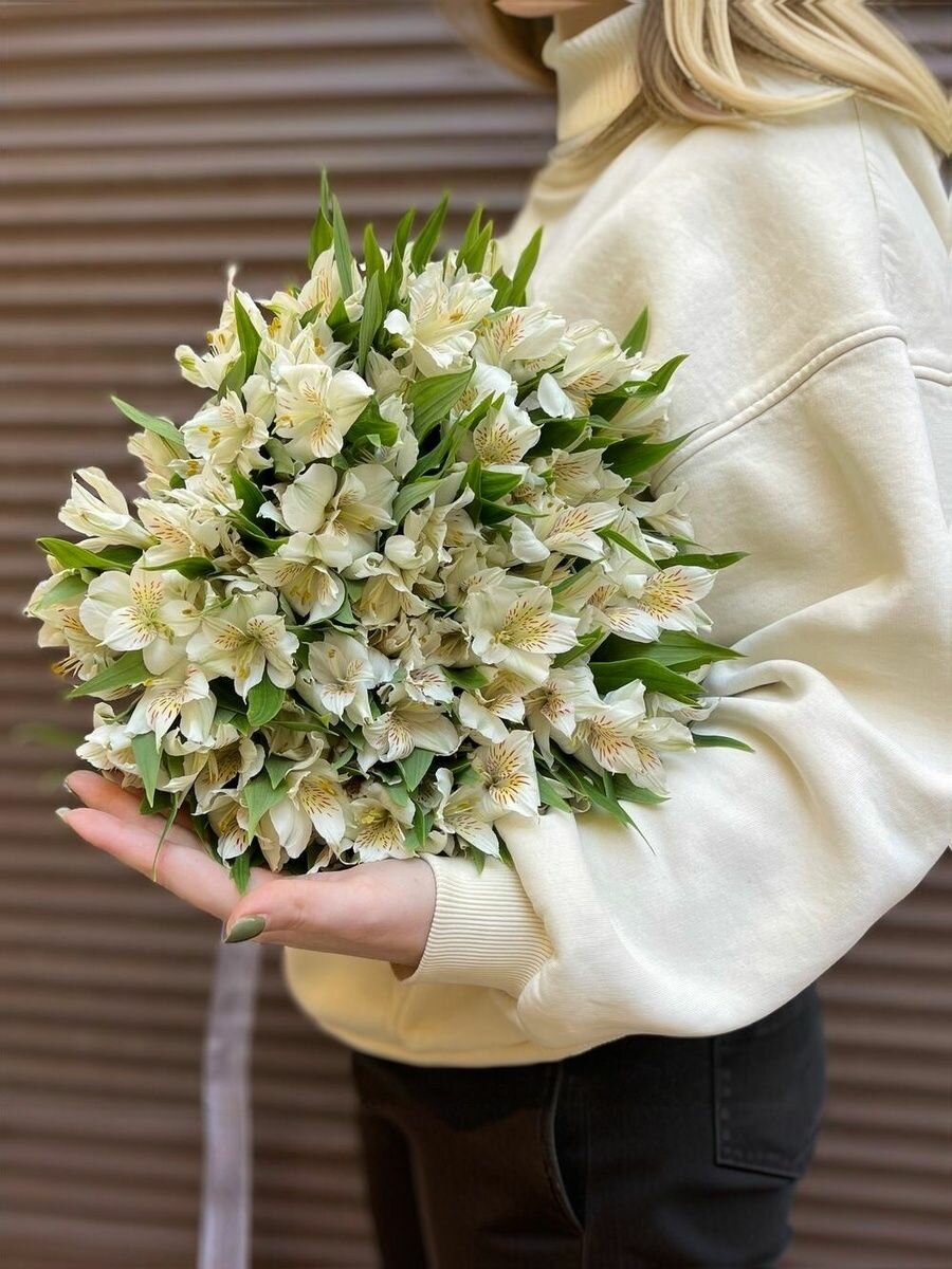 Букет из 25 белых альстромерий