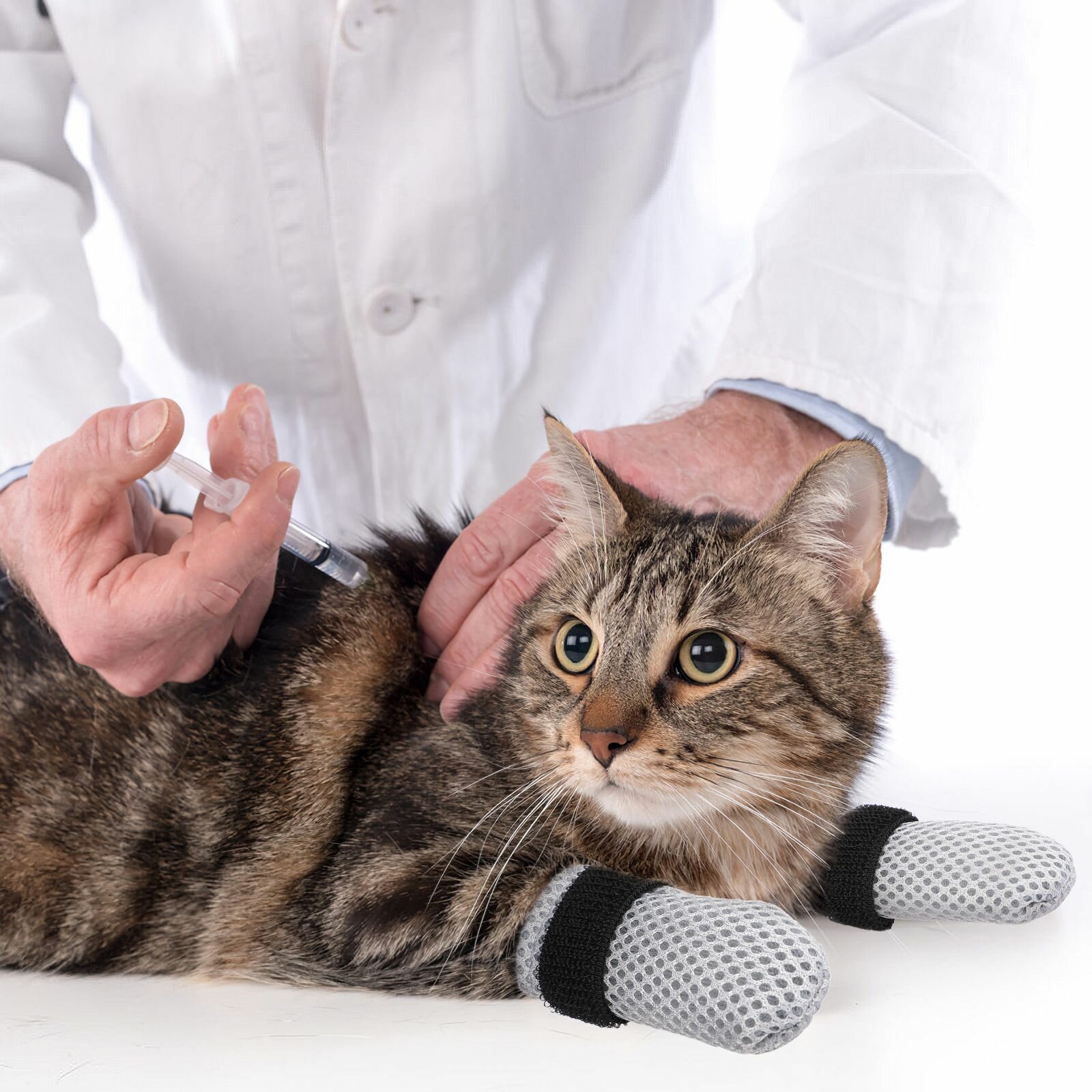 4 Штуки Защитные Капы, Из Полиэстера, Для Лечения Кошек