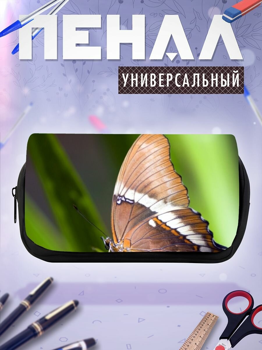 Школьный пенал мотыльки и бабочки бабочка