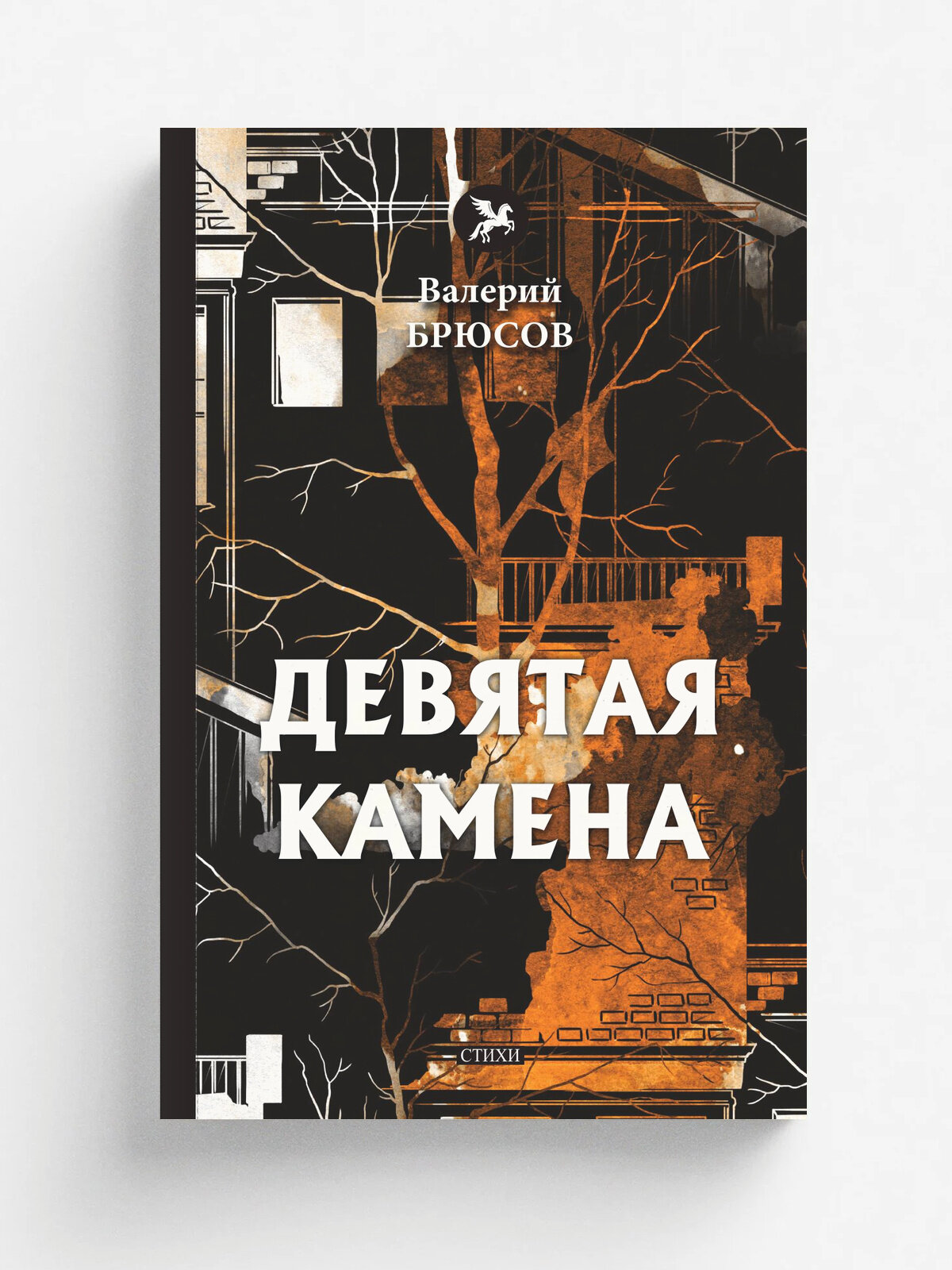 Девятая камена