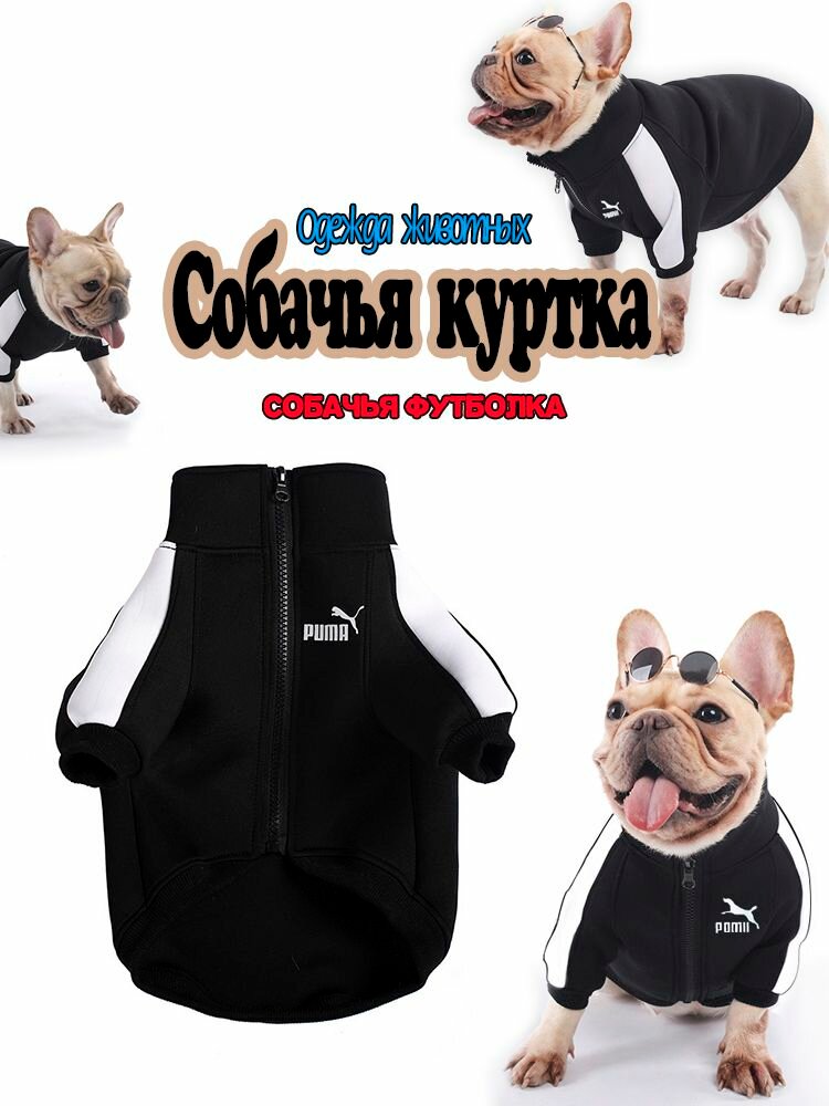 Спортивная одежда для кошек и собак L - размер бюстгальтер 50CM длина спины 32CM для собак L 50CM 32CM для кошек L 50CM 32CM