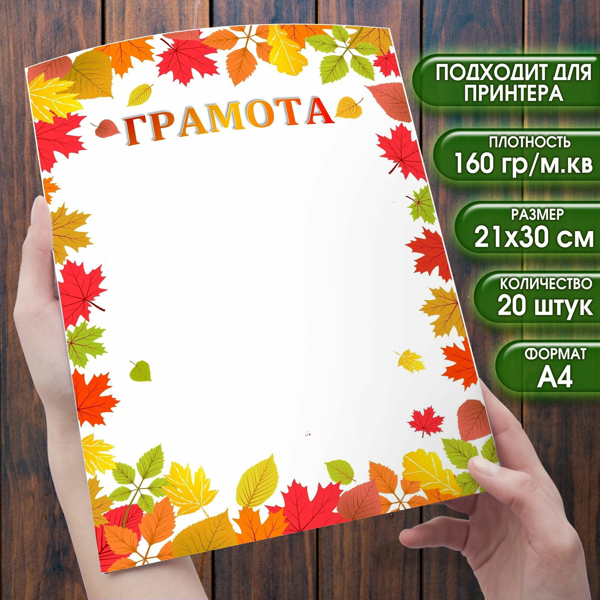 Бланк Грамота. Школа. Набор 20 штук. Размер 21х30 см. (формат А4) Бланки для принтера или рукописного заполнения. Грамоты для заполнения.