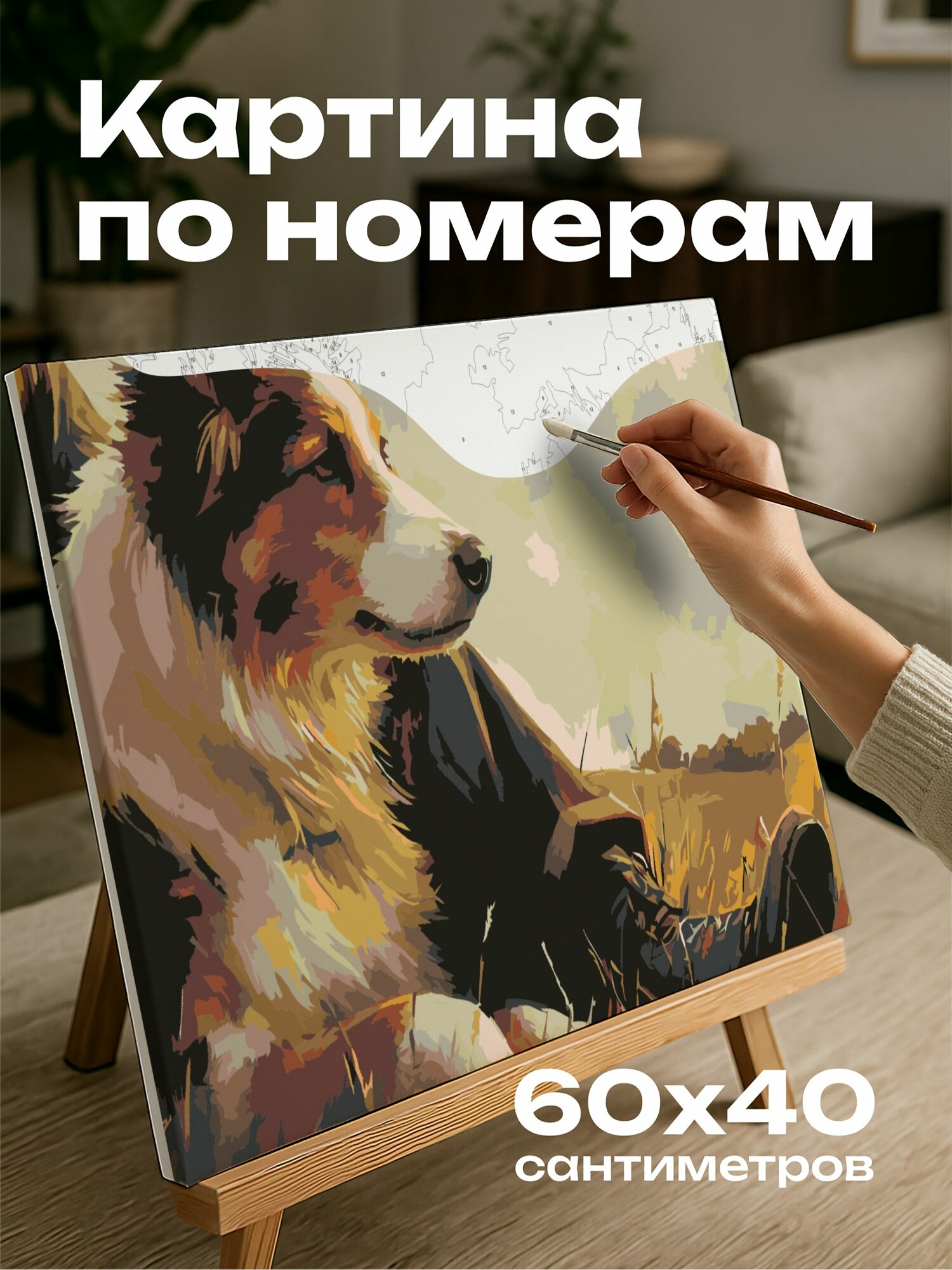 Картина по номерам 60x40 см, колли, верность, преданность, внимательность, мирный луг, чувствительность, фотография