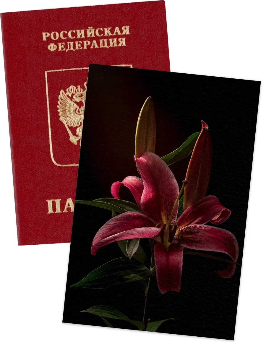 Обложка для паспорта