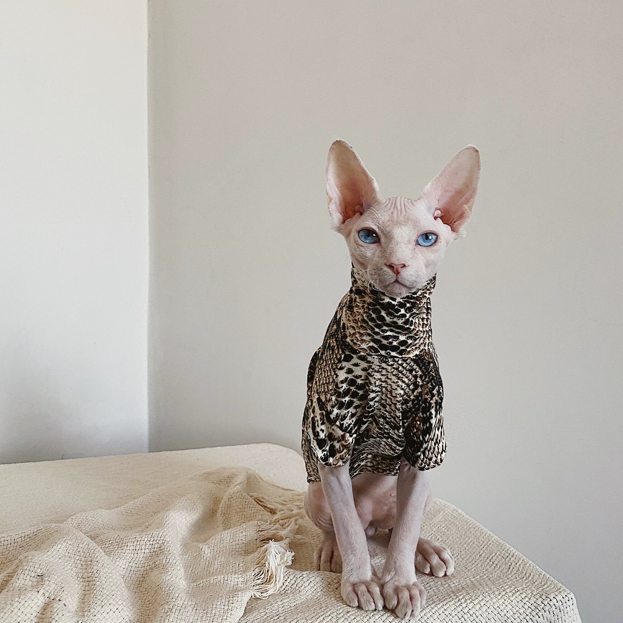 Верблюжий свитер для безволосых кошек Sphynx с змеиным рисунком, узкий крой, дышащая ткань, размер S