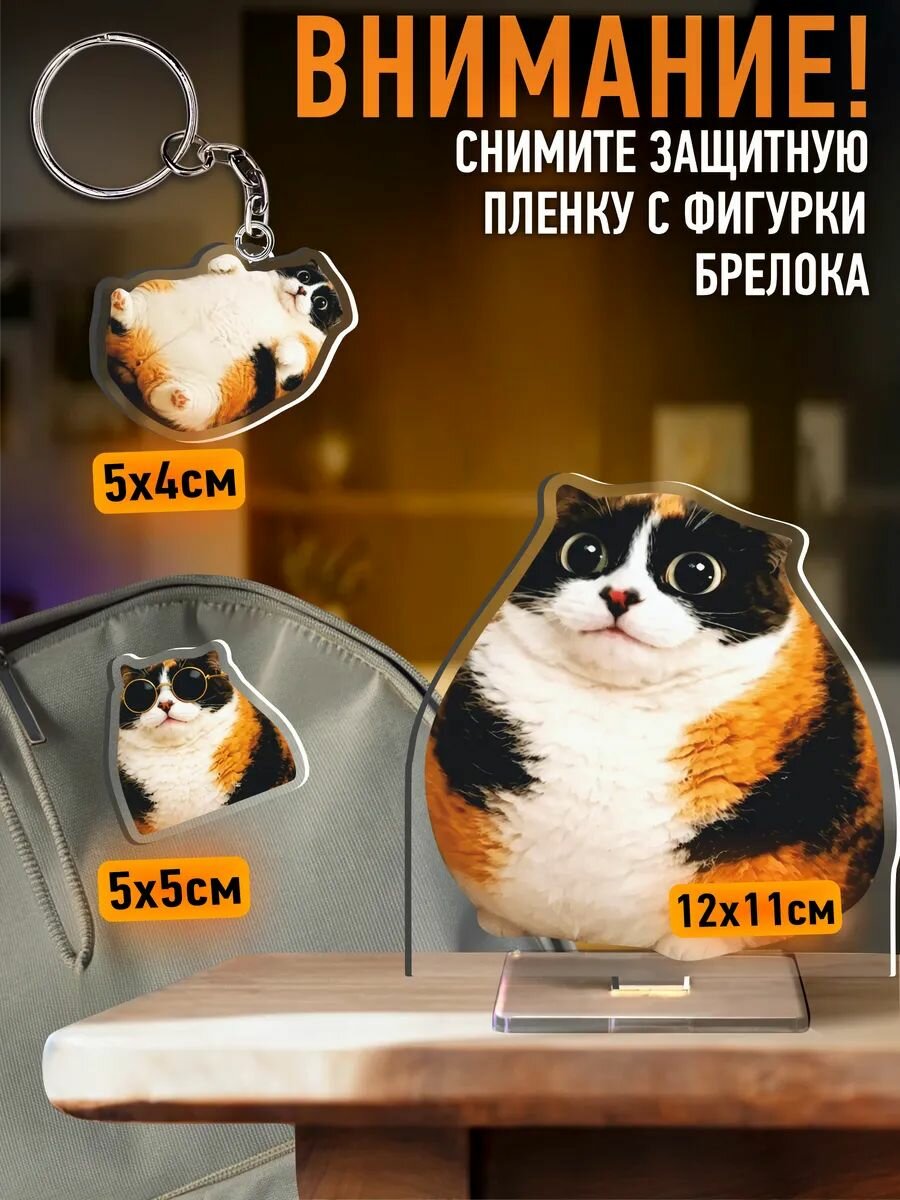 Подарочный бокс Котость мем — фото 1