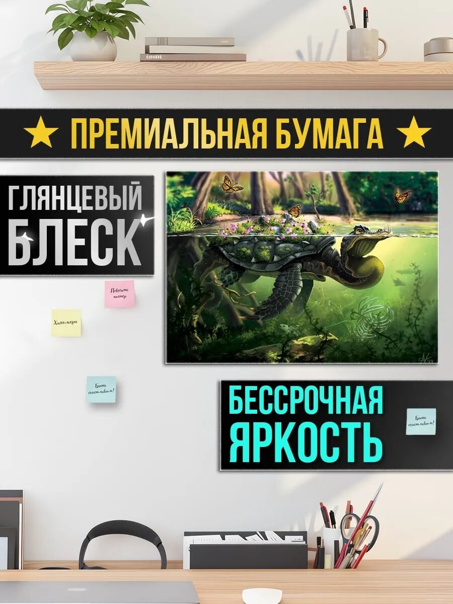 Плакат постер черепаха в воде — фото 1