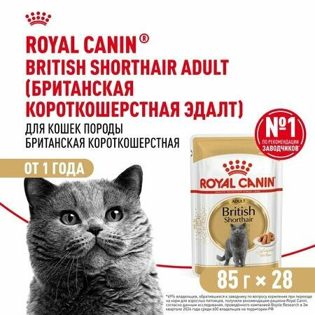 ROYAL CANIN BRITISH SHORTHAIR ADULT 28 шт по 85 г кусочки в соусе, влажный корм для кошек британской, короткошерстной породы, старше 12 месяцев