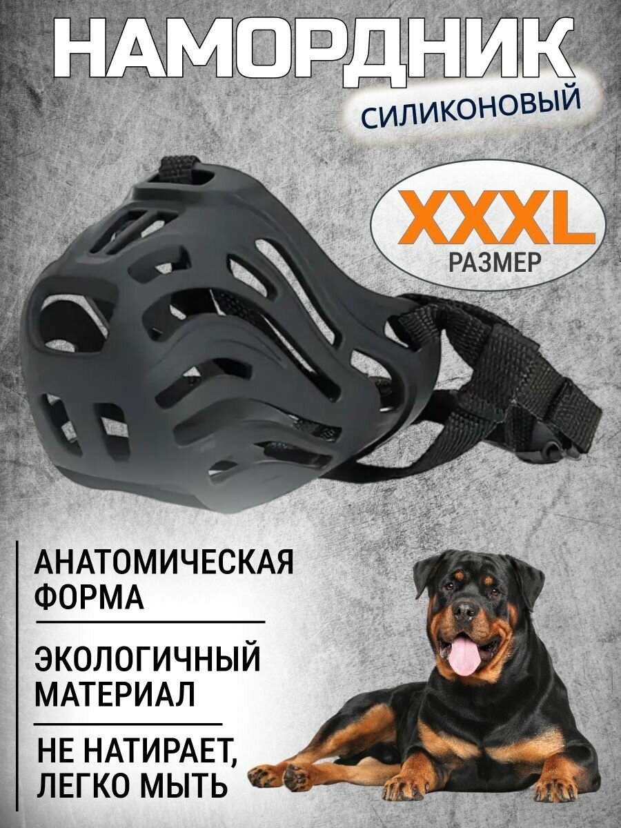 Намордник