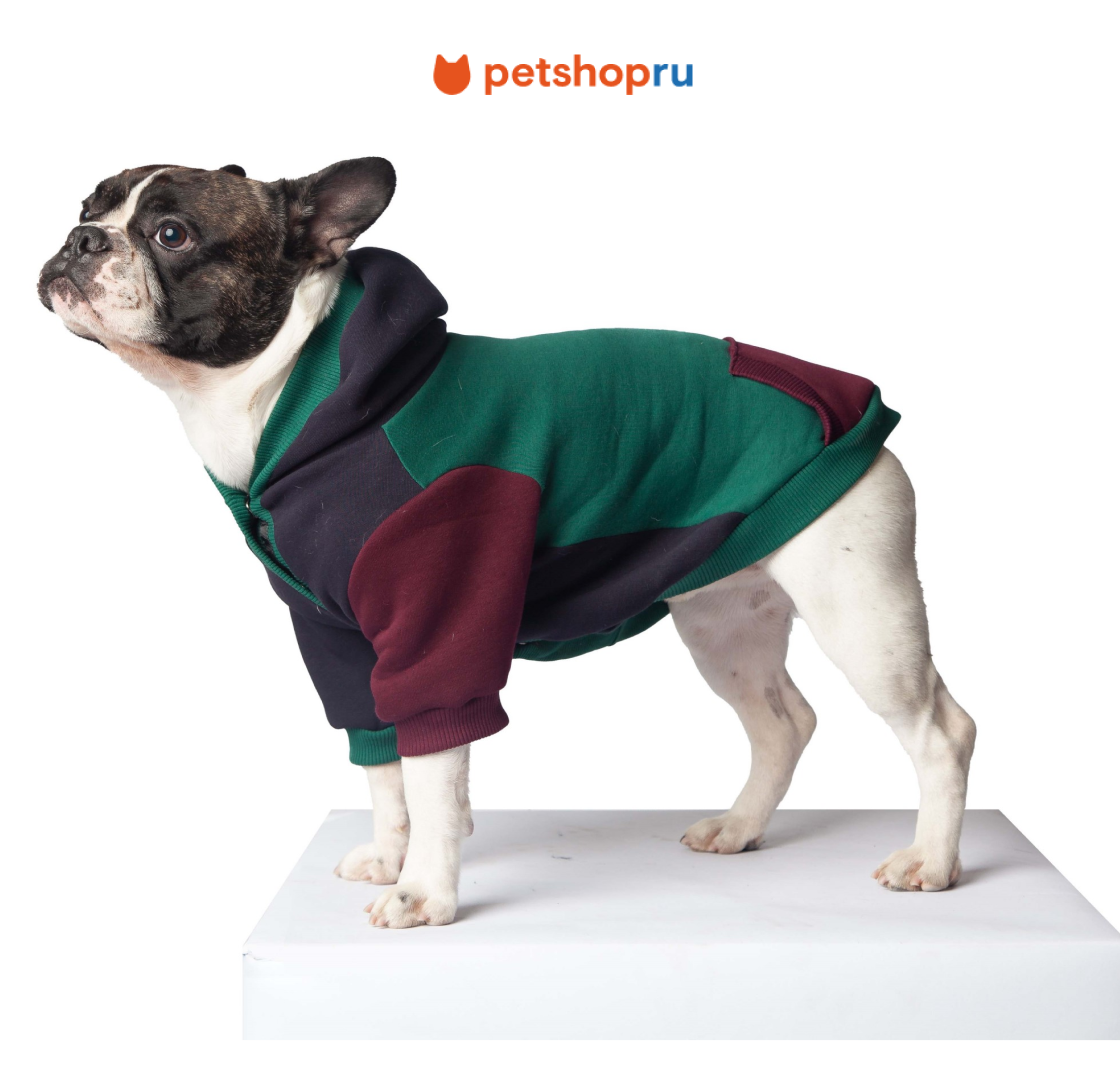 Lelap одежда Толстовка "Neptune" на Булли из футера размер XL, спинка 50-60 см