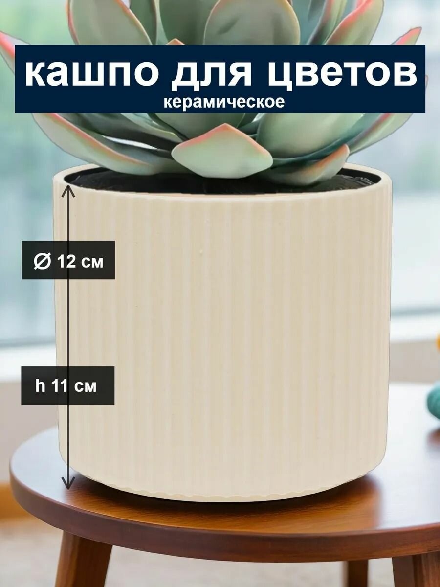 Горшок кашпо для цветов кактусов суккулентов маленькое