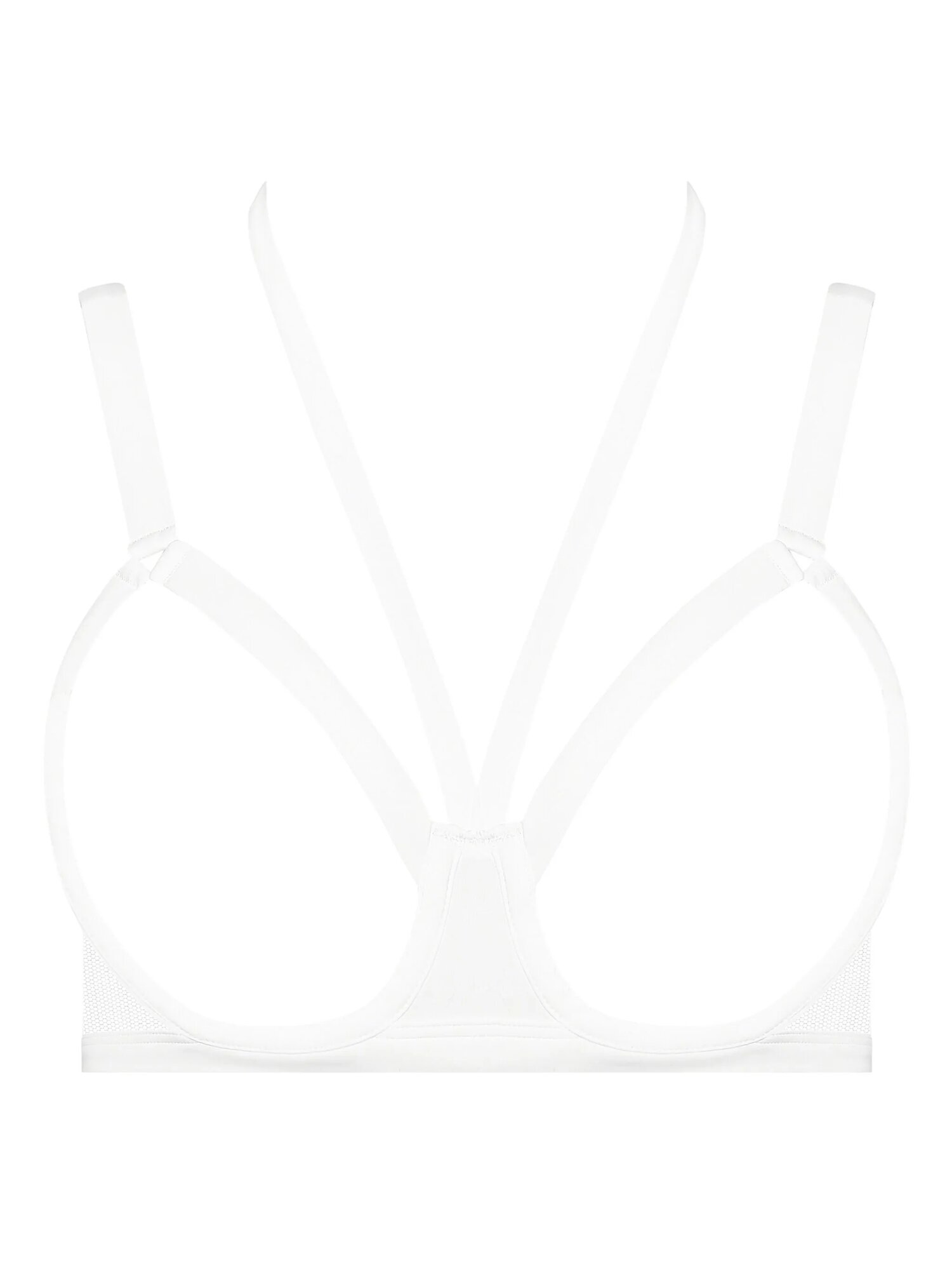 Бюстгальтер