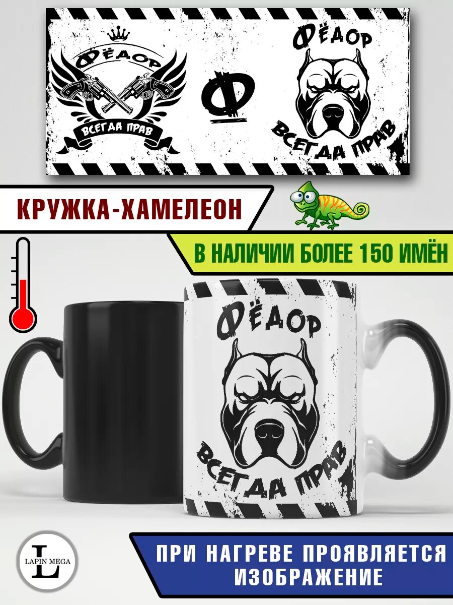 Кружка хамелеон именная Федор всегда прав большая для чая