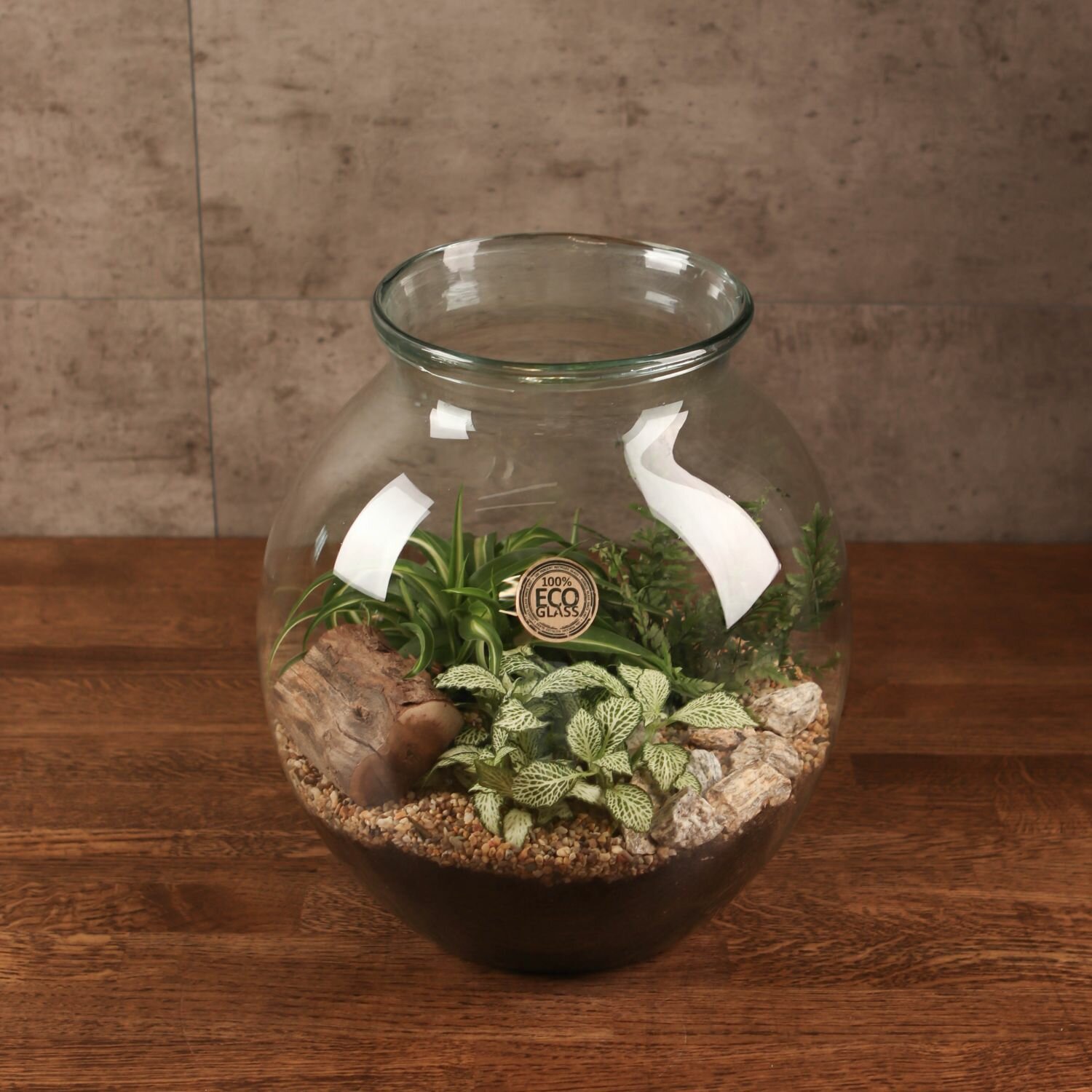 Флорариум с растениями «Оазис»