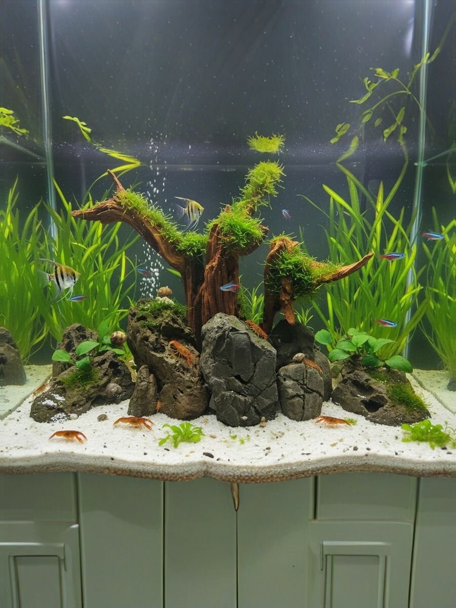 Камень Серая гора и Коряга кизила композиция для аквариума и террариума, натуральные природные декорации/Креветкин дом