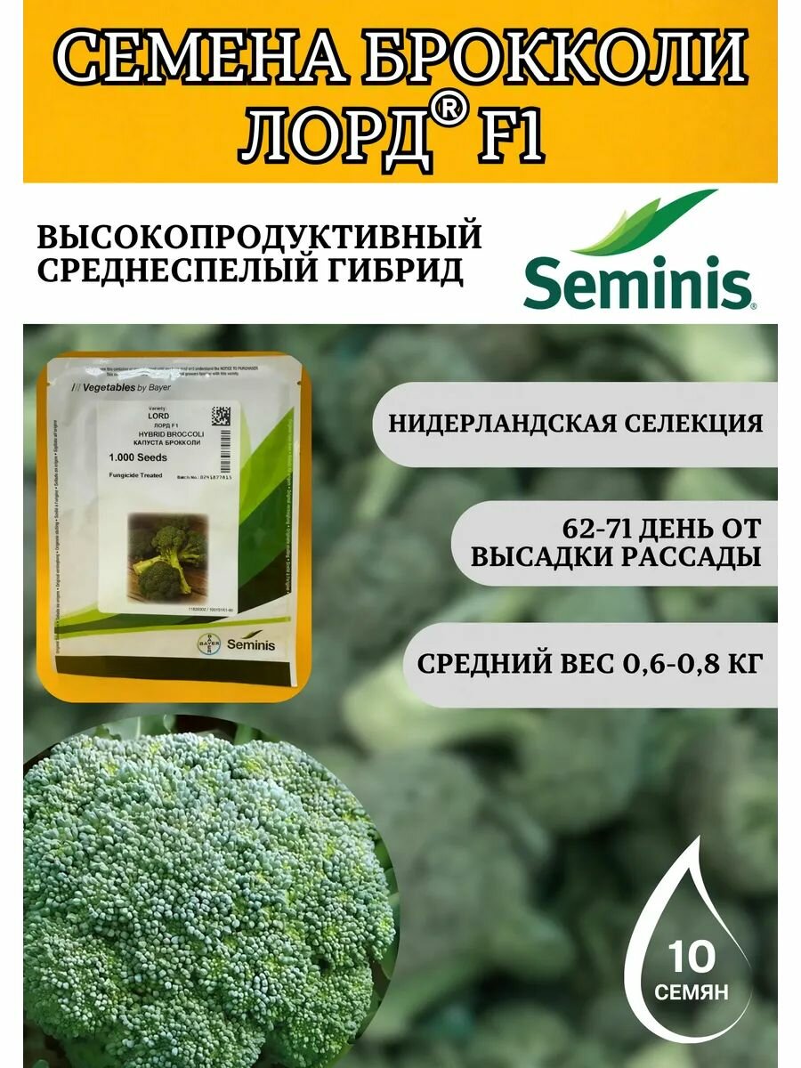 Семена капусты брокколи Лорд F1 10 шт