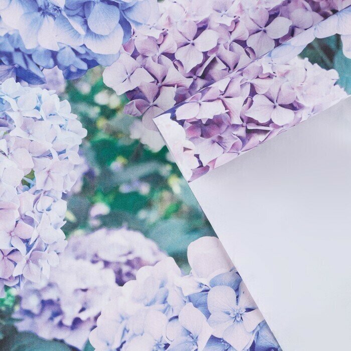 !09 Бумага (набор 3 листа) упаковочная глянцевая "Нежные" 50 × 70 см.