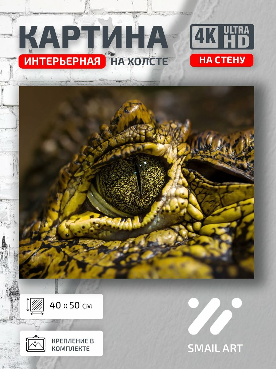 Картина на холсте интерьерная 40 на 50 на стену Ящера Mood для кабинета атмосфера интерьер