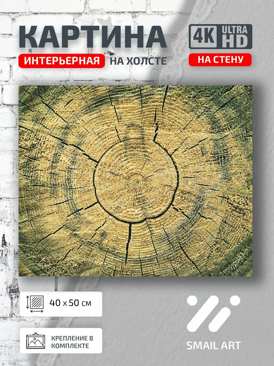 Картина на холсте интерьерная 40 на 50 на стену Спил Macro для спальни макро интерьер декор