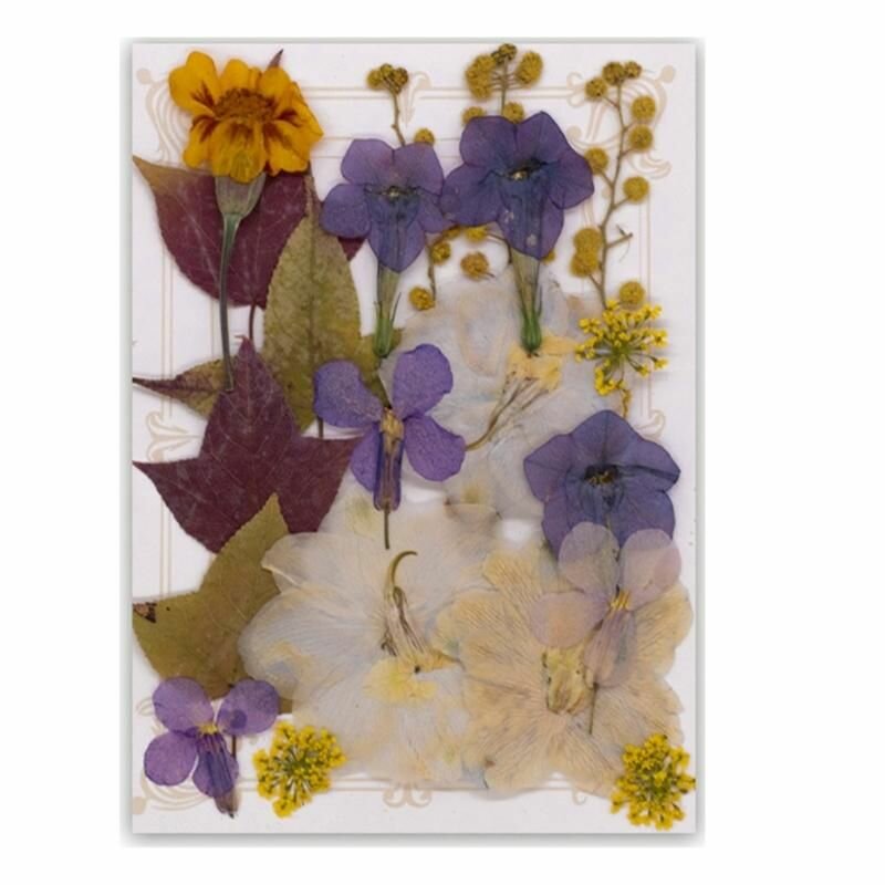 Материал Для Гербария Из Настоящих Цветов-Tumi Series E