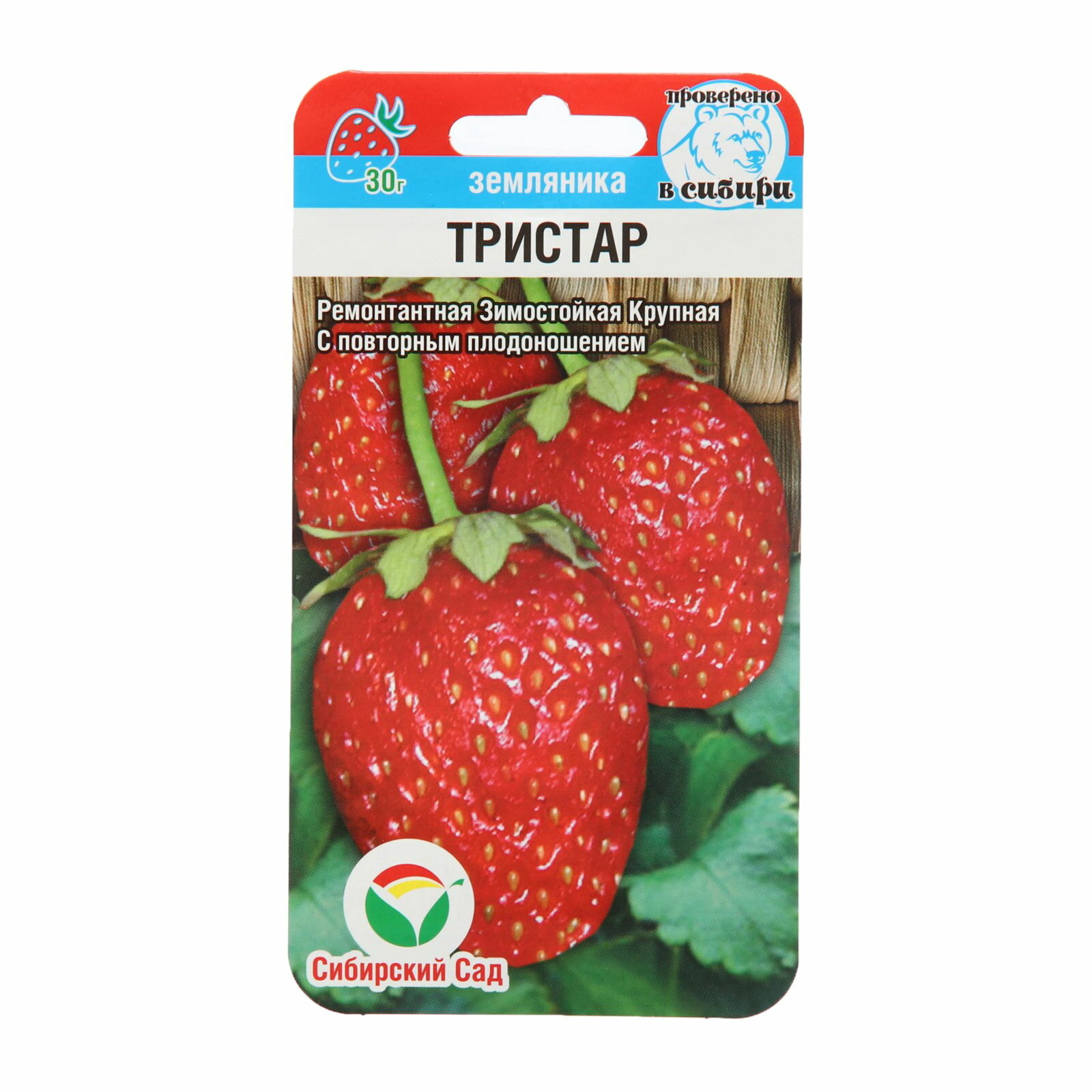 Семена Земляника ремонтантная "Тристар", 10 шт, урожай: август - сентябрь