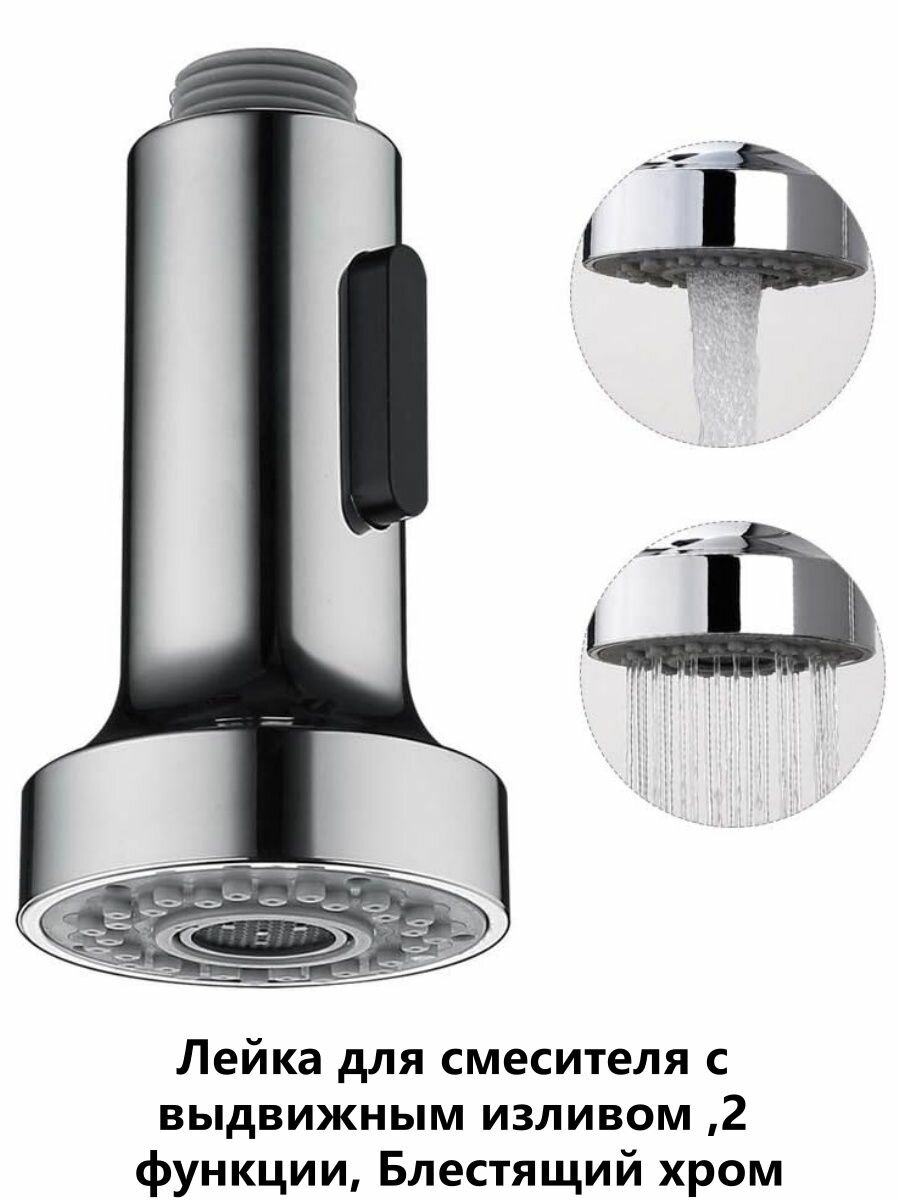 Лейка для кухонного смесителя (выдвижная) 2-х режимная, парикмахерская лейка ROBERN F26 2C, насадка для душа животных, Блестящий хром