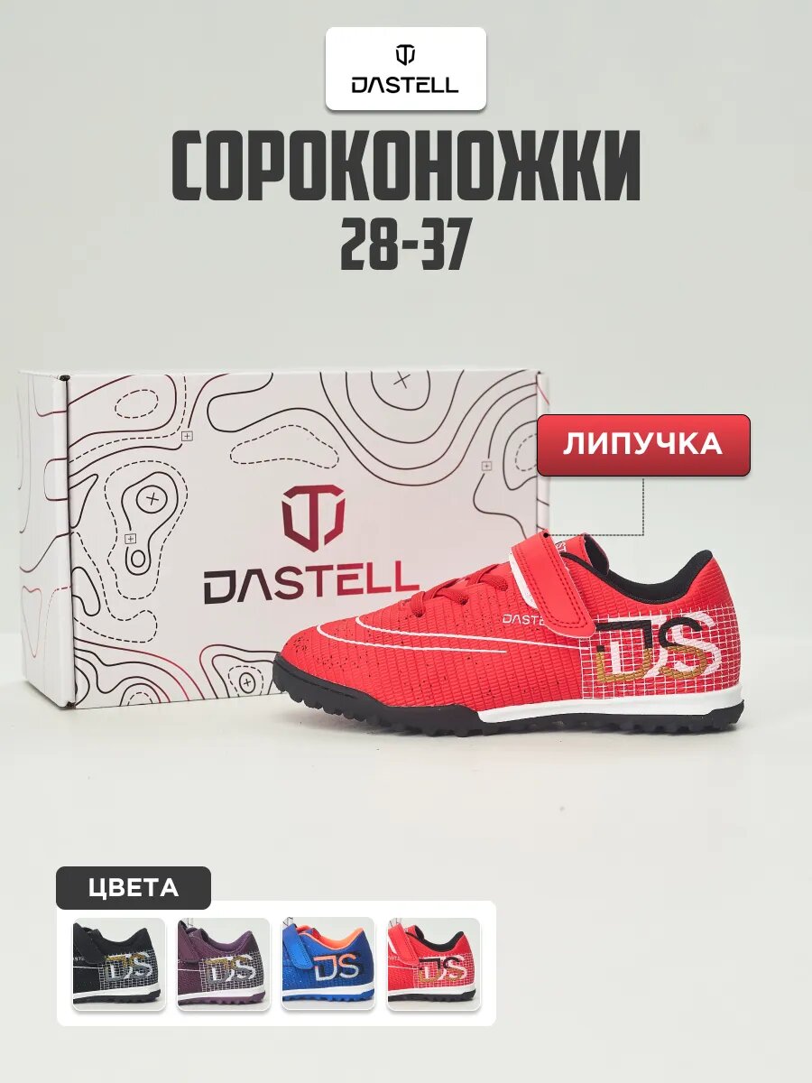 Сороконожки