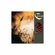 Диск Clannad - Past Present (1 CD)