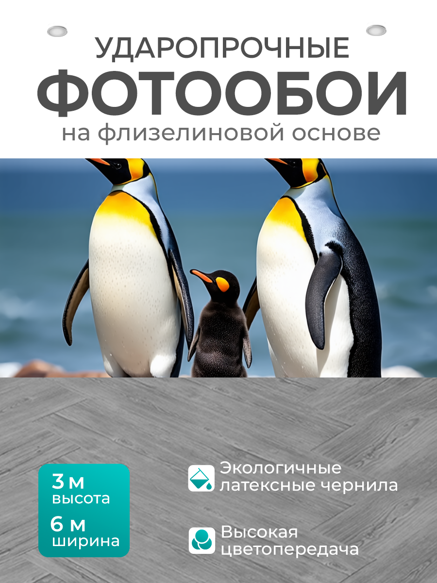 Фотообои моющиеся ударопрочные "Три пингвина королевского вида стоят на каменистом побережье. Два взрослые пингвина, один из которых чуть выше, с." 600x300 см. флизелиновые на стену