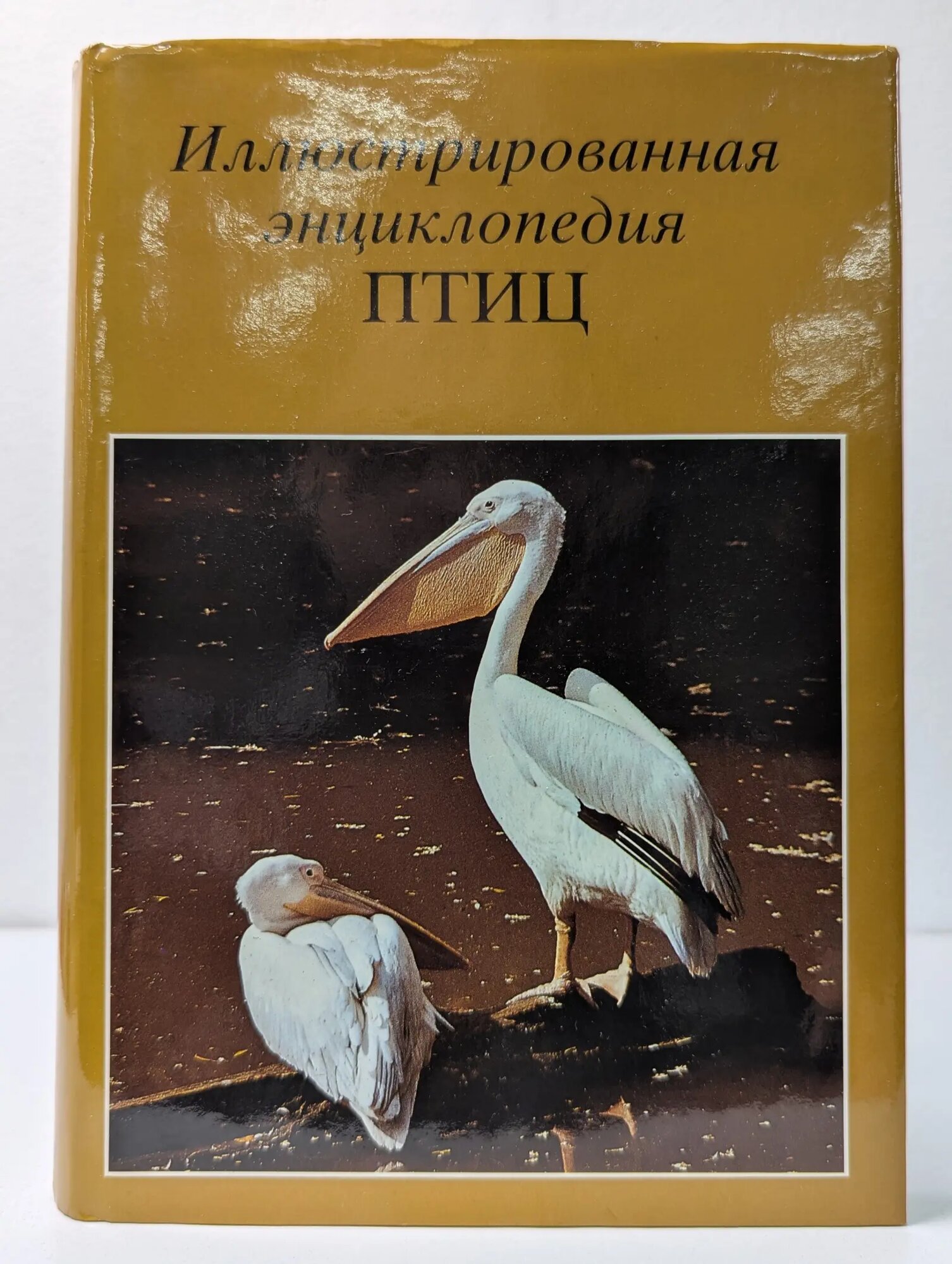 Иллюстрированная энциклопедия птиц Ганзак Ян 1990