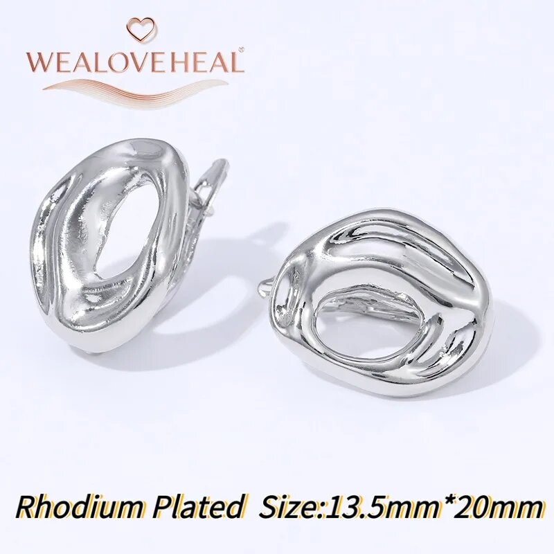 Швензы для сережек WEALOVEHEAL, Rhodium Plated, 2 Pairs