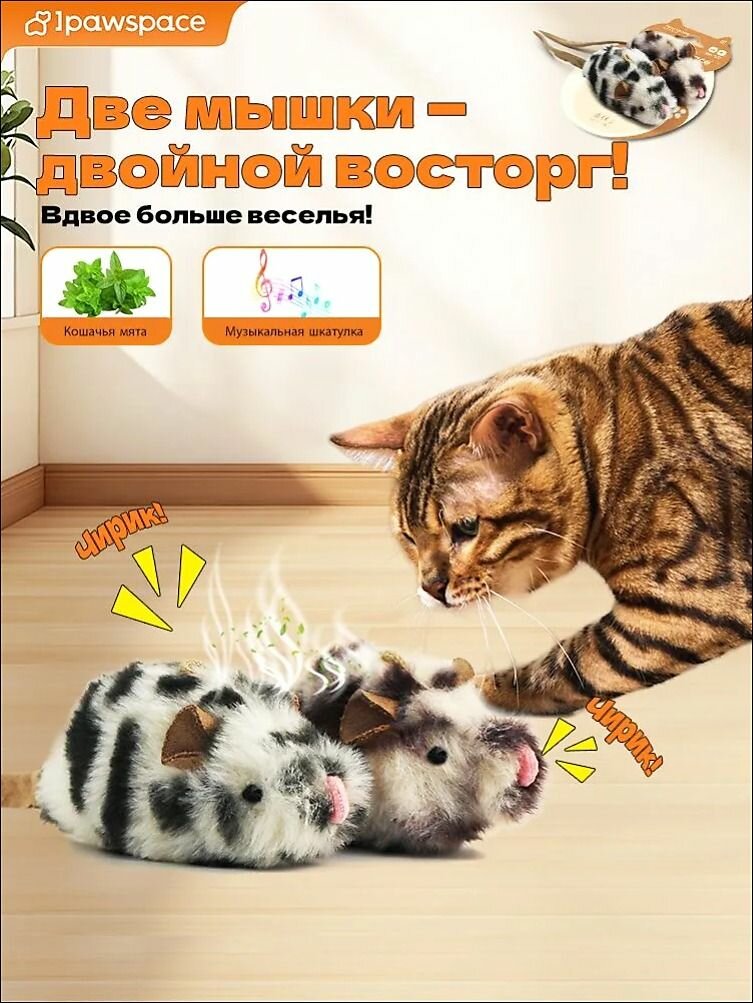 Мышка Кошка Игрушки Tease Cat Интерактивные игрушки Catnip Squeaker Pack of 2