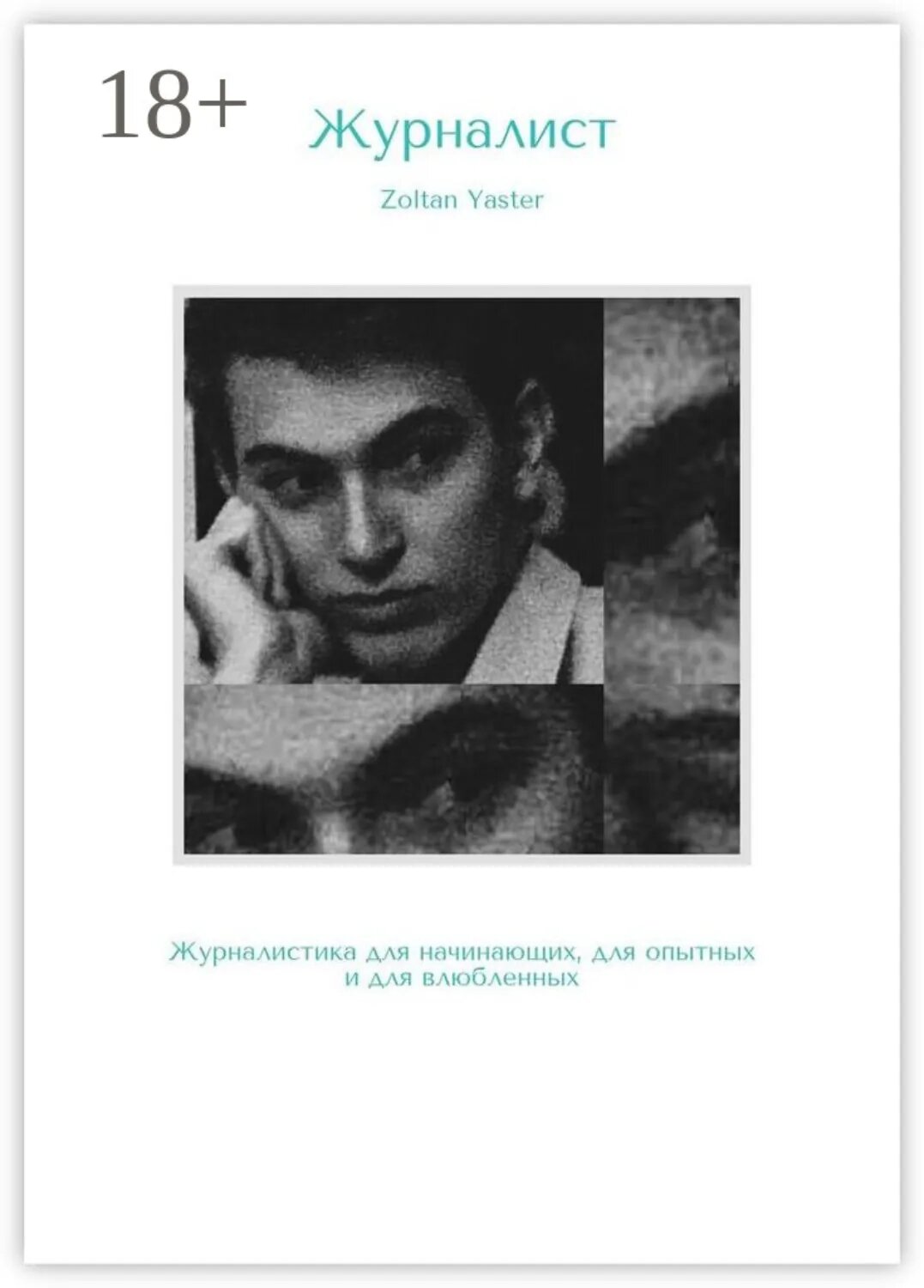 Журналист. Журналистика для начинающих, для опытных и для влюбленных [Цифровая книга]