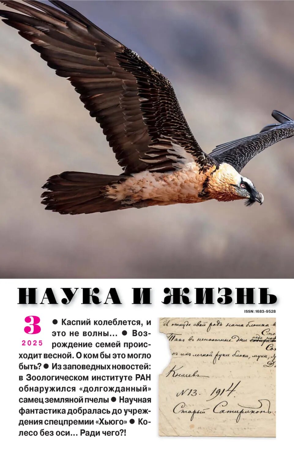 Наука и жизнь №03/2025 [Цифровая книга]