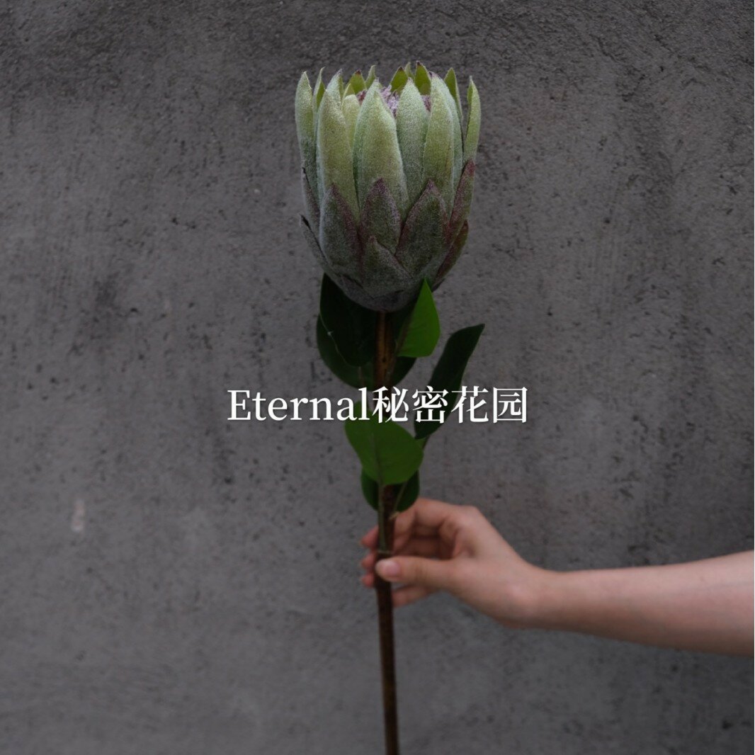 Флокированная одиночная ветка императорского цветка, южноафриканский принцесса цветок, подушка для булавок, цветок высокого класса, искусственный цветок для дома, цветок для лобби отеля