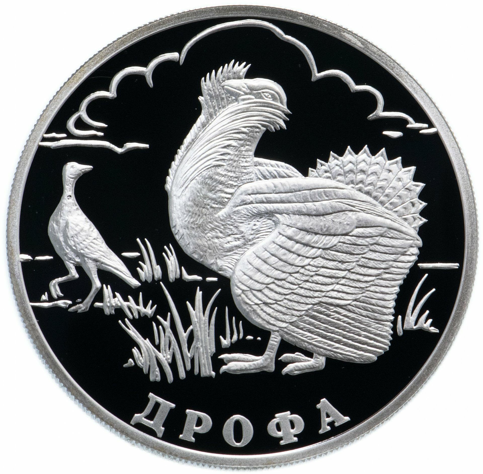 1 рубль 2004 СПМД Proof дрофа Красная книга, Серебро 900