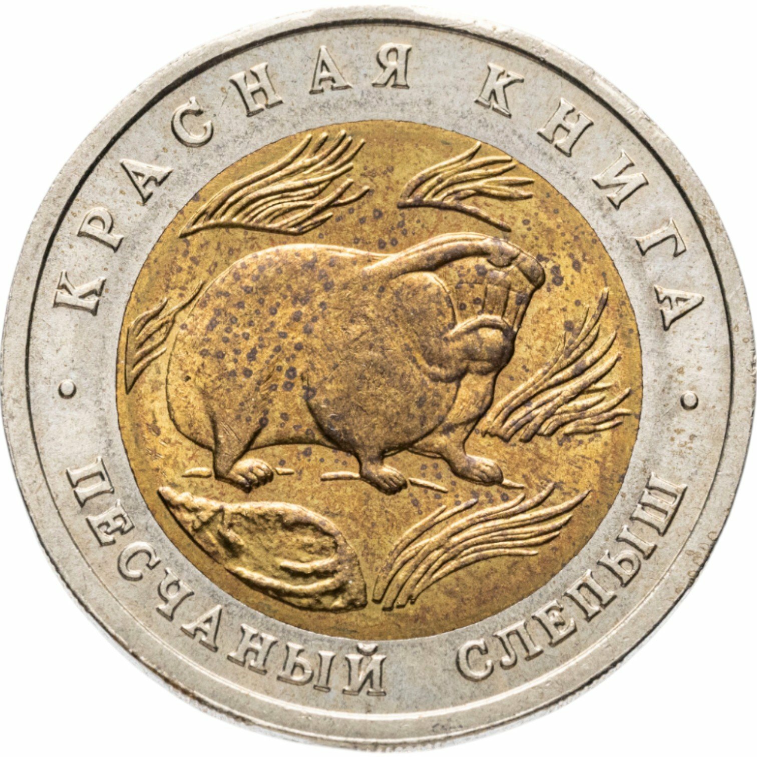 50 рублей 1994 ЛМД Песчаный Слепыш - Красная Книга, Биметалл, в сохранности AU-UNC