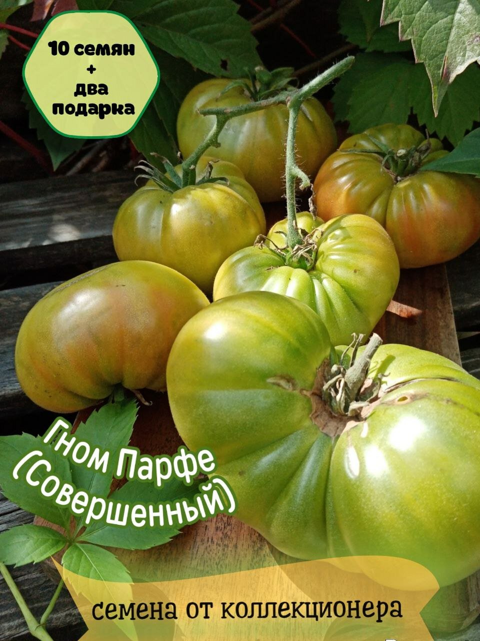 Гном Парфе (Совершенный)", коллекционный сорт томата, проект "Гном томатный