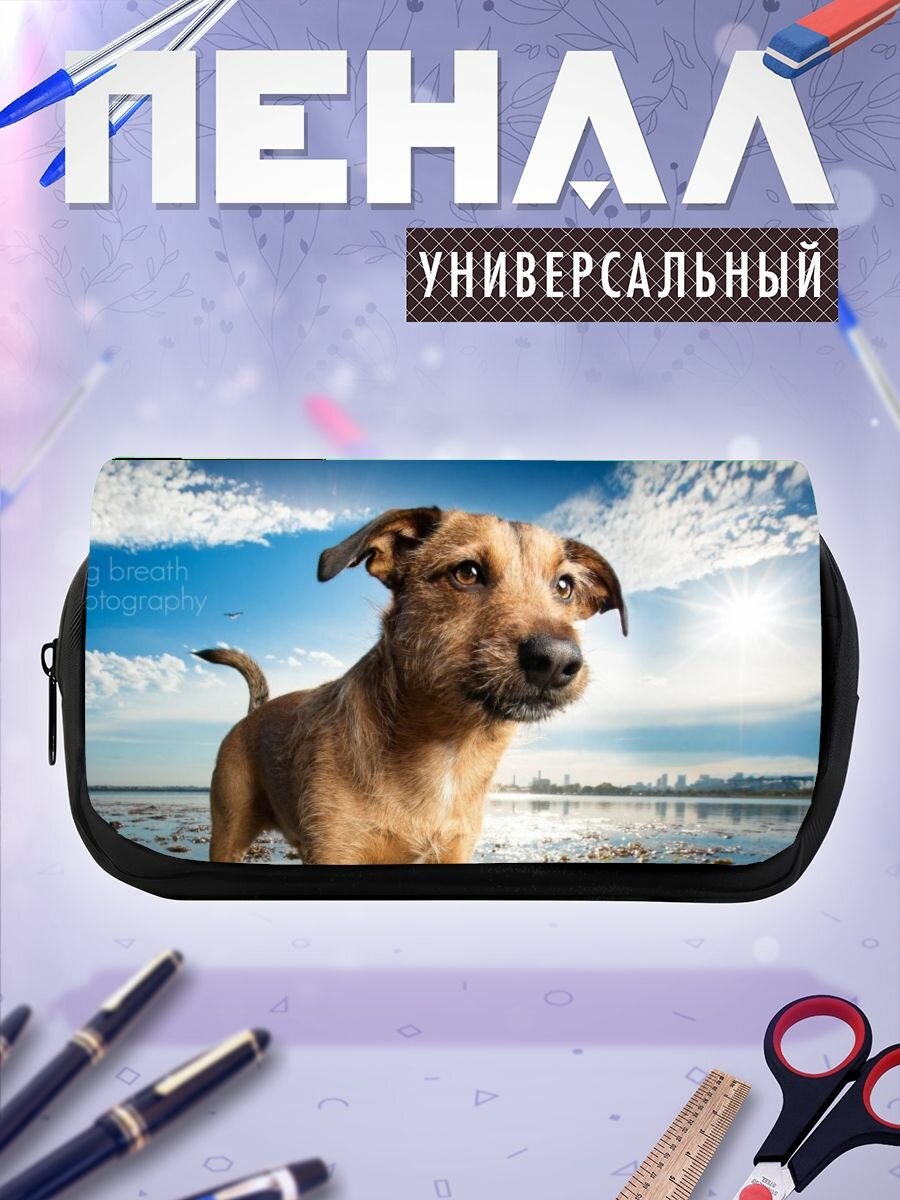 Школьный пенал пес кане корсо