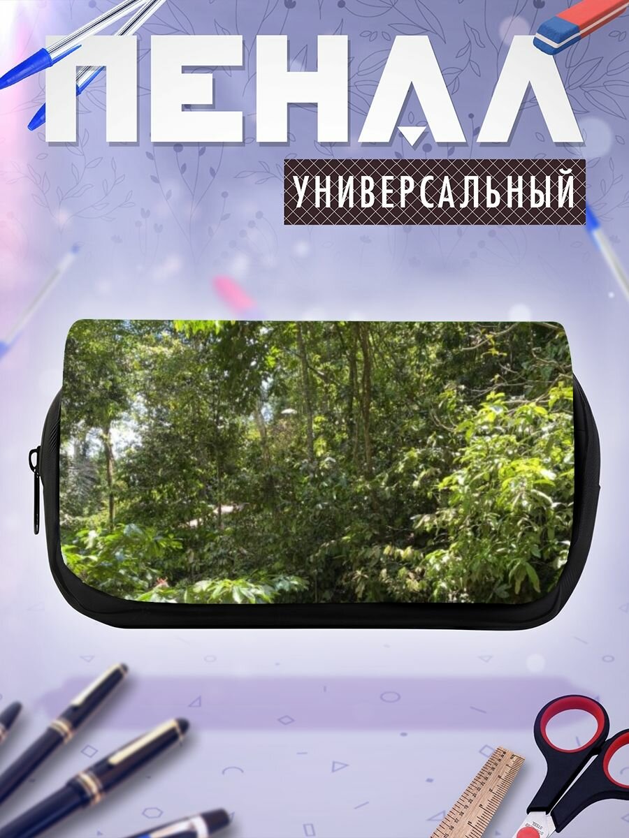 Школьный пенал природа тропические леса