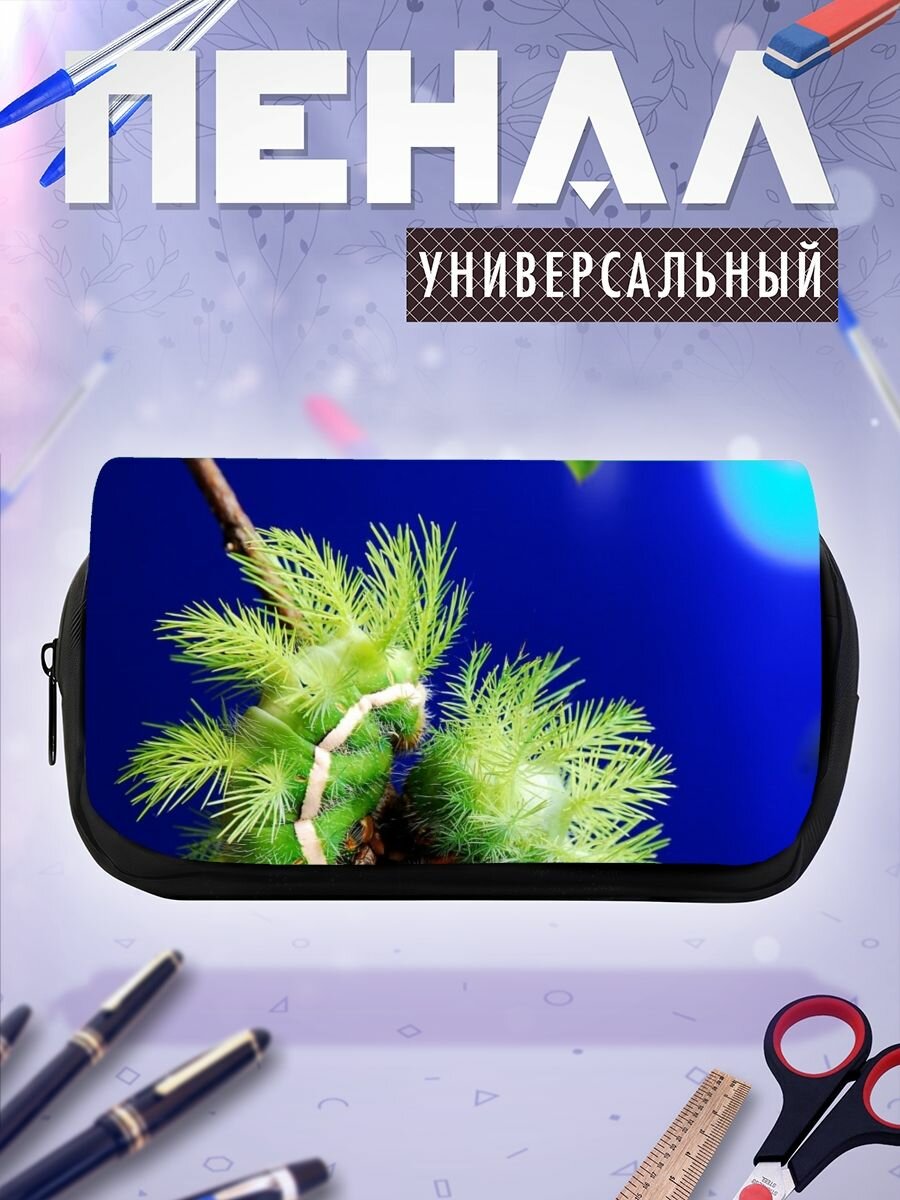 Школьный пенал стебель растения дерево