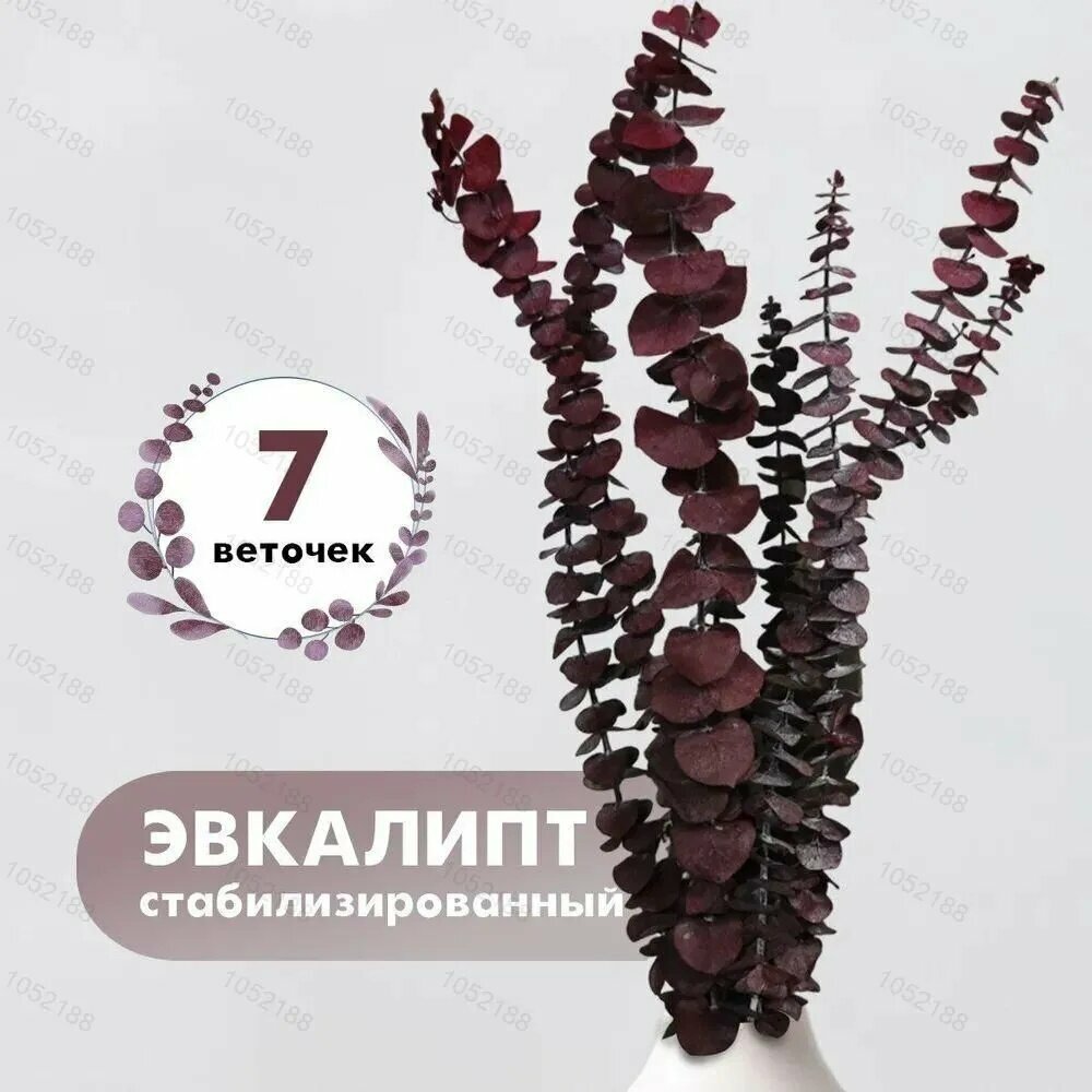 Сухоцветы, 55 см, 150 гр