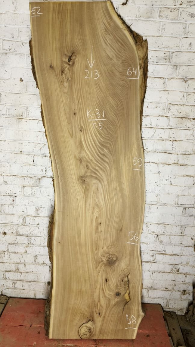 Слэб дерева Карагач К31, выровнен в плоскости, влажность 8-10%