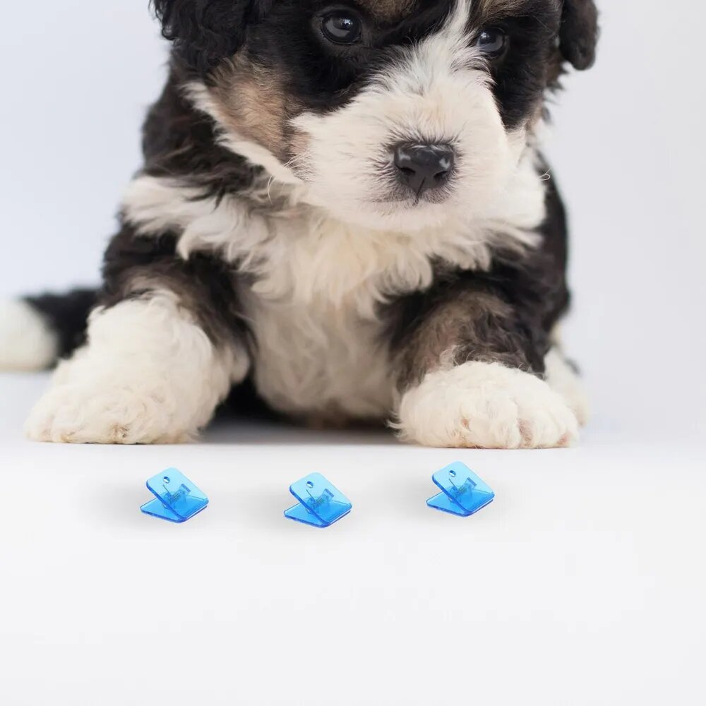 Прозрачный синий держатель для собачьих пеленок из абс, 6 штук для внутреннего и внешнего применения