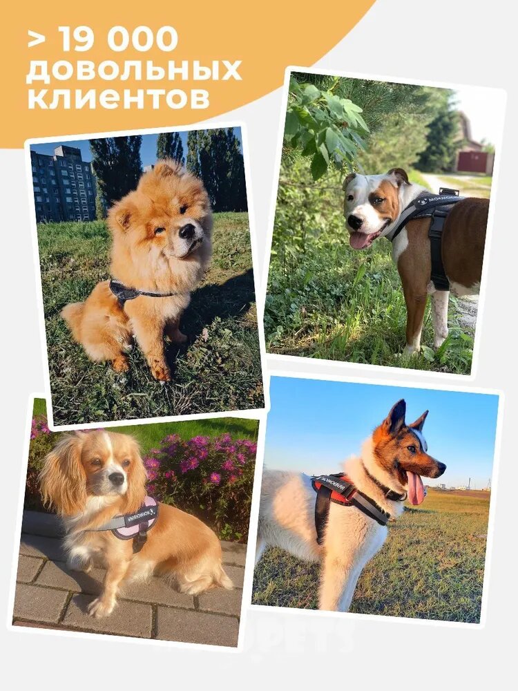 Шлейка — фото 1