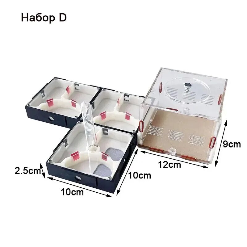 Муравьиная ферма Плоское гнездо D пакет