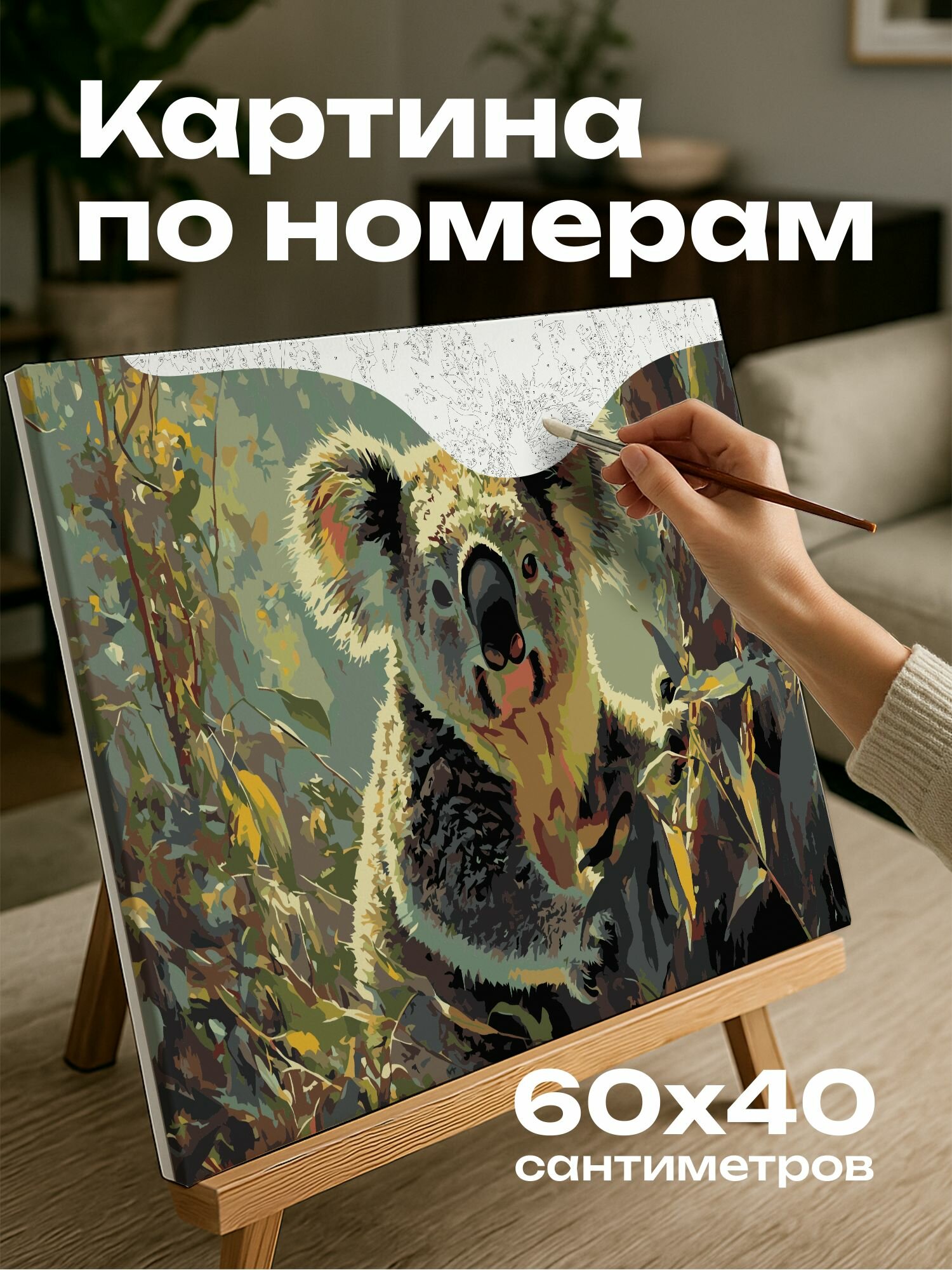 Картина по номерам 60x40 см, Коала, медведь, фотография, юмор, эвкалиптовая, роща, солнце, забавный, сумчатые, характер