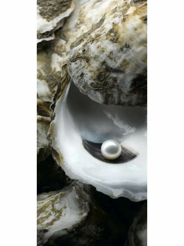 Подарок на 14 февраля, 8 марта Жемчужина желаний в ракушке, устрица в вакууме с жемчужиной внутри