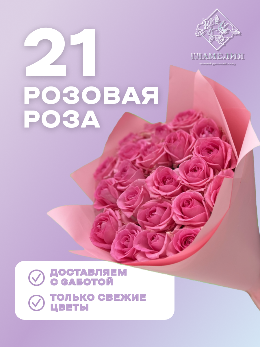 Гламелия цветы Нежный Акцент: монобукет из 21 розы Revival в розовой упаковке – купить свежие цветы с доставкой в Москве