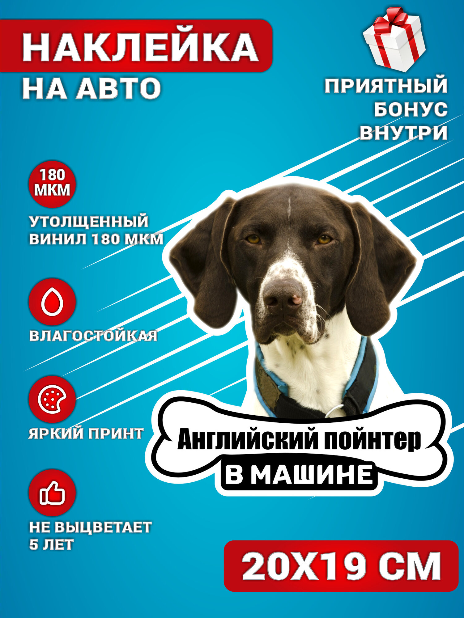 Наклейки на авто стикеры на стекло на кузов авто Английский пойнтер собака в машине 20х19 см